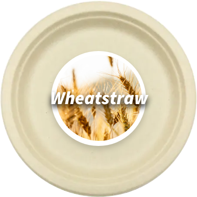 Partyware and the Environment - Partyware Pty Ltd